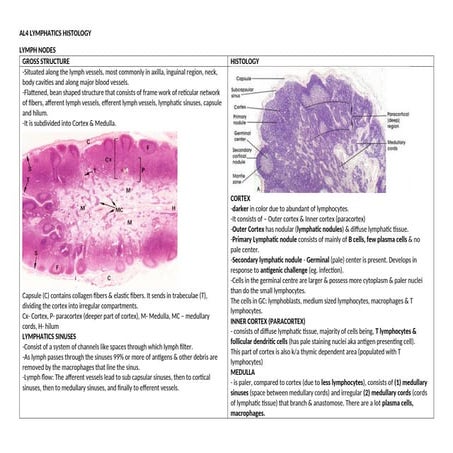 LYMPHATICS HISTOLOGY, LYMPHATICS HISTOLOGY | DOCX