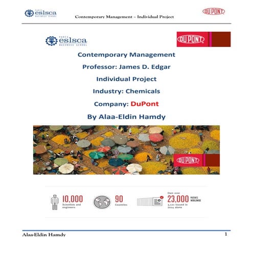 DuPont Company - Alaa Hamdy | PDF