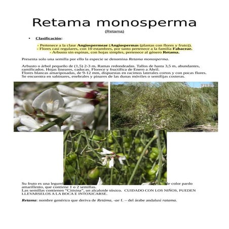 Retama | PDF