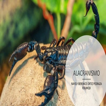 intoxicacion por veneno de alacran.pdf