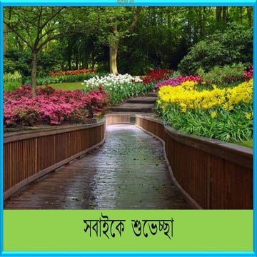 Alam_ cl-math | PPTX