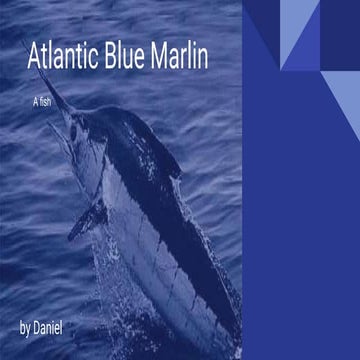 Atlantic Blue Marlin | PPTX