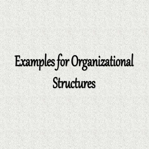 examples for organizational structure | PPTX