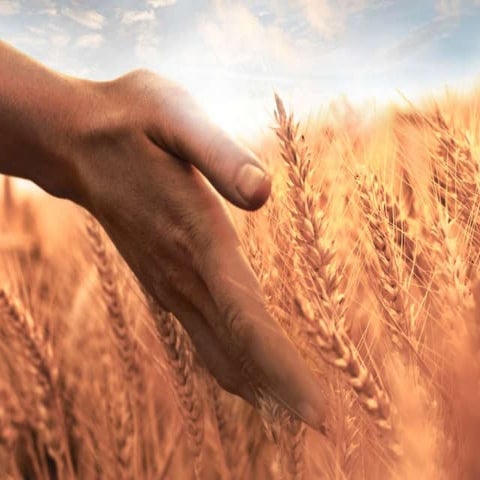 Alapala Machine Industry and Trade Inc. | PPT