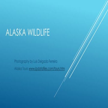 Alaska photo | PPTX