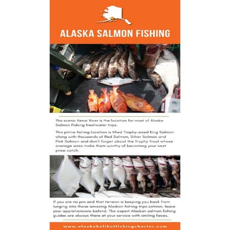 Awesome Fun Facts About Salmon - Alaska Halibut Fishing Charter | PDF