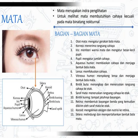 Alat-alat Optik.pptx