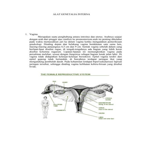 Alat genetalia interna (tgs bu jati) | DOC