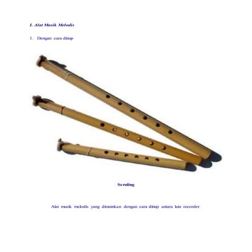 Alat Musik Melodis Dan Ritmis | DOCX