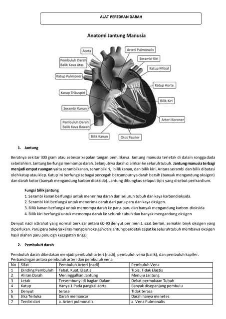 Media Pembelajaran Materi Sistem Peredaran Darah Kelas 5 SD | PPT