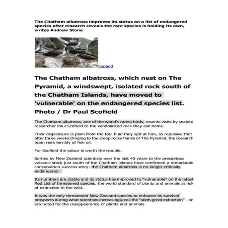 Albatross (webquest) | DOCX