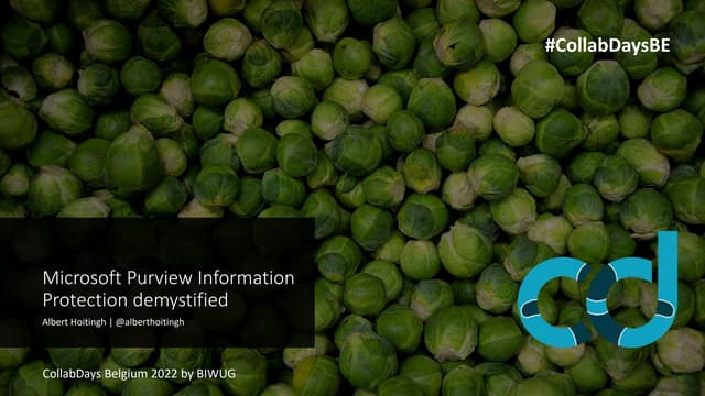 Microsoft Purview Overview Deck.pptx is for Microsoft Purview | PPTX