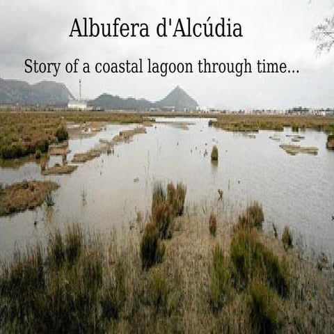 Albufera d'alcúdia | PPT