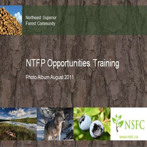 NTFP Opportunities Training Program Album | PPTX