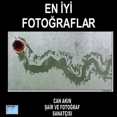 Album 2 Can Akin | PPT