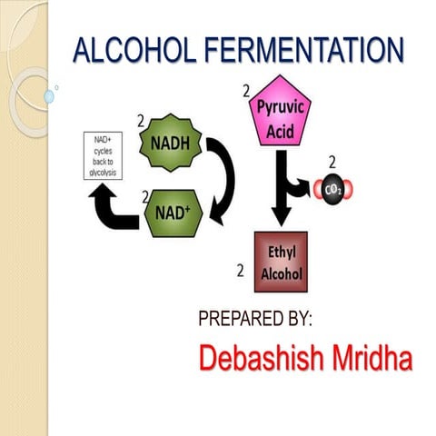 FERMENTATION OF ALCOHOL | PPTX
