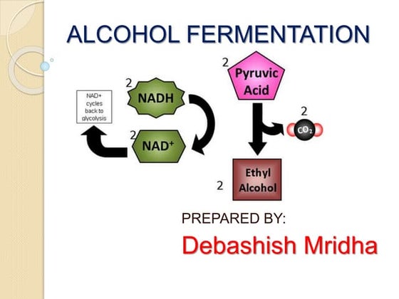 Alcohol Fermentation Diagram Alcohol Or Ethanol Fermentation