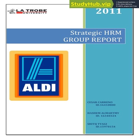 Aldi Final Report | PDF