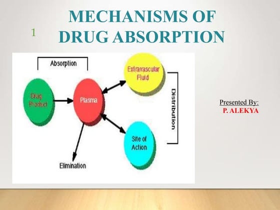Biopharmaceutics: Mechanisms of Drug Absorption | PDF