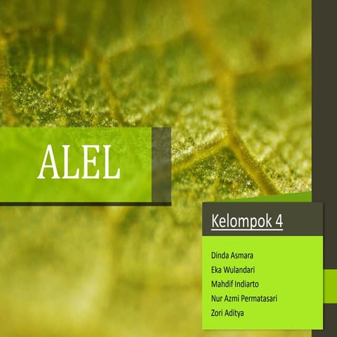 Alel - Biologi | PPTX