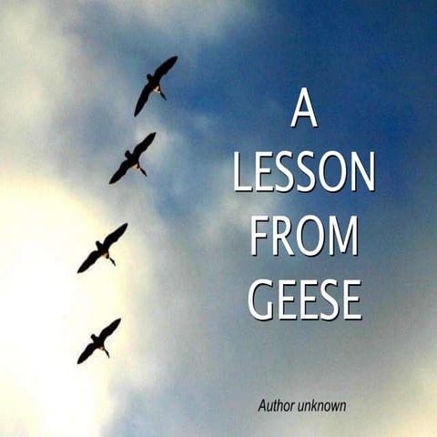 A Lesson from Geese (Slideshow by: Kal-el) | PPT