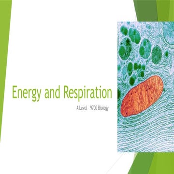 Energy and Respiration PPT of Cambridge A | PPTX