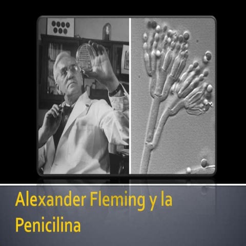 Alexander Fleming y la penicilina | PPTX