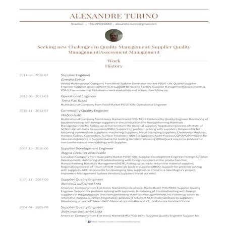 Alexandre turino visualcv_resume | PDF