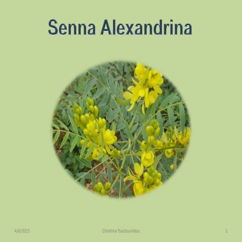 Senna Alexandrina Presentation in Biochemistry. | PPSX