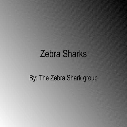 zebra sharks | PPT