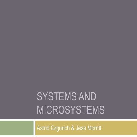 Microsystems - PPE - Jess | PPTX