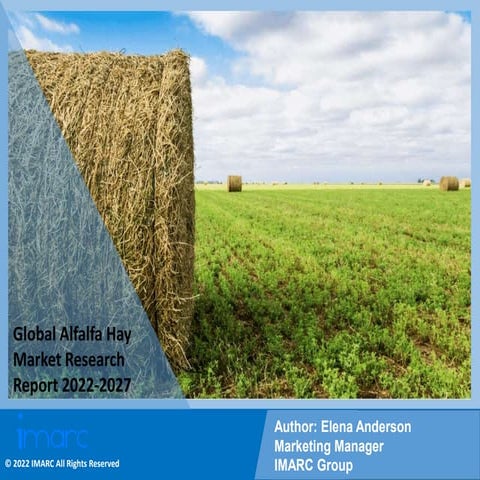Global Alfalfa Hay Market PPT: Demand, Trends and Business ...