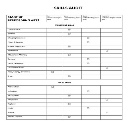 SKILLS AUDIT.pdf