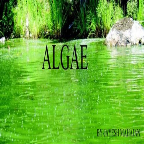 Algae | PPTX | Biological Sciences | Science