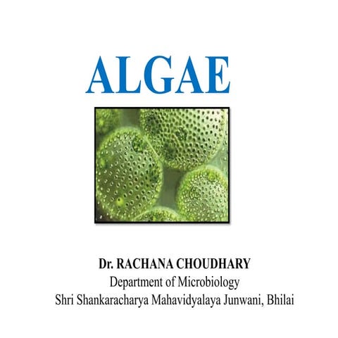 Life cycle of algae | PPTX