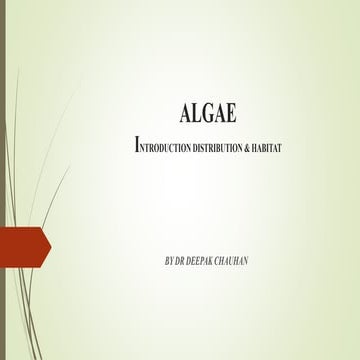 Algae notes (1) | PDF
