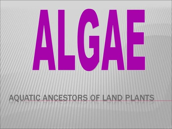 Stomatal Physiology.pptx