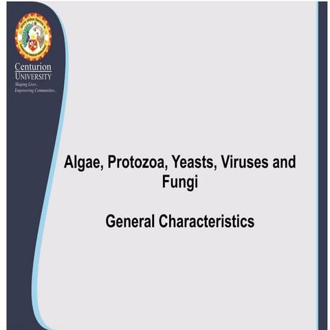 Algae-Protozoa-Yeasts-and-Fungi about their character | PDF