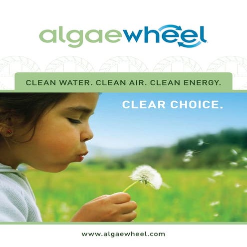 Algae wheel-Brochure | PDF