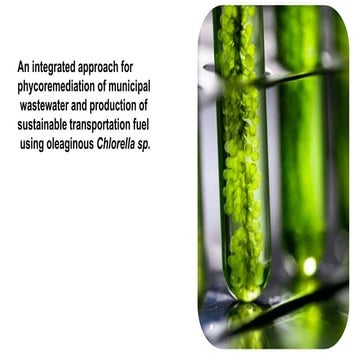 Use of Microalgae for Phycoremdiation & biodiseal production | PPTX ...