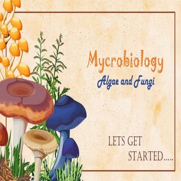 Algae_And_Fungi Microbiology presentation.pptx