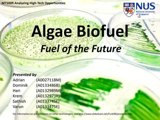 Algae fuel | PPT