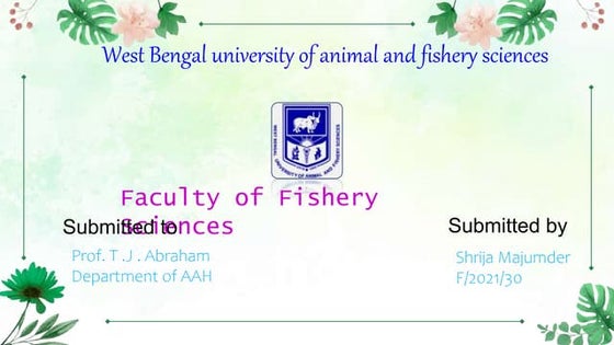 Antiseptics and disinfectants in aquaculture | PDF | Infectious Diseases | Diseases and Conditions