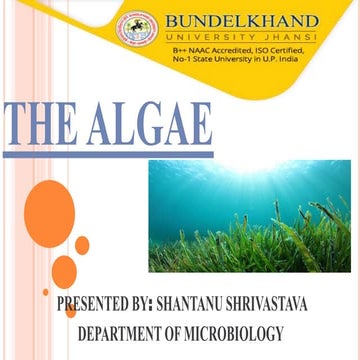 Identification and examination of Algae. | PPTX
