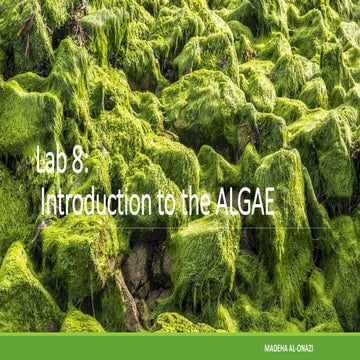 Identification and examination of Algae. | PPTX
