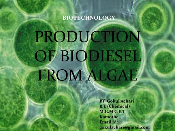 Energy From Algae Using Microbial Fuel Cells | PPT