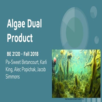 Algae product | PPTX
