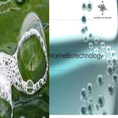 Marine Biotechnology/Algae | PPTX