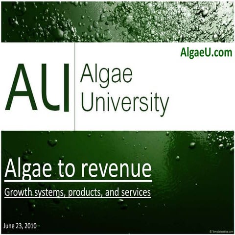 Juan Algae Paste | PDF