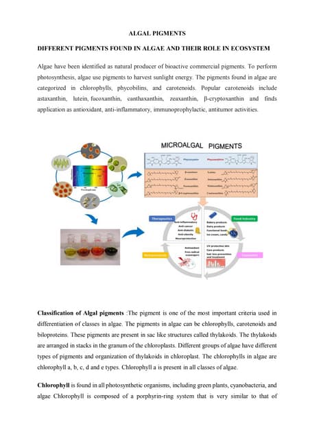 Methylases | PPTX | Chemistry | Science